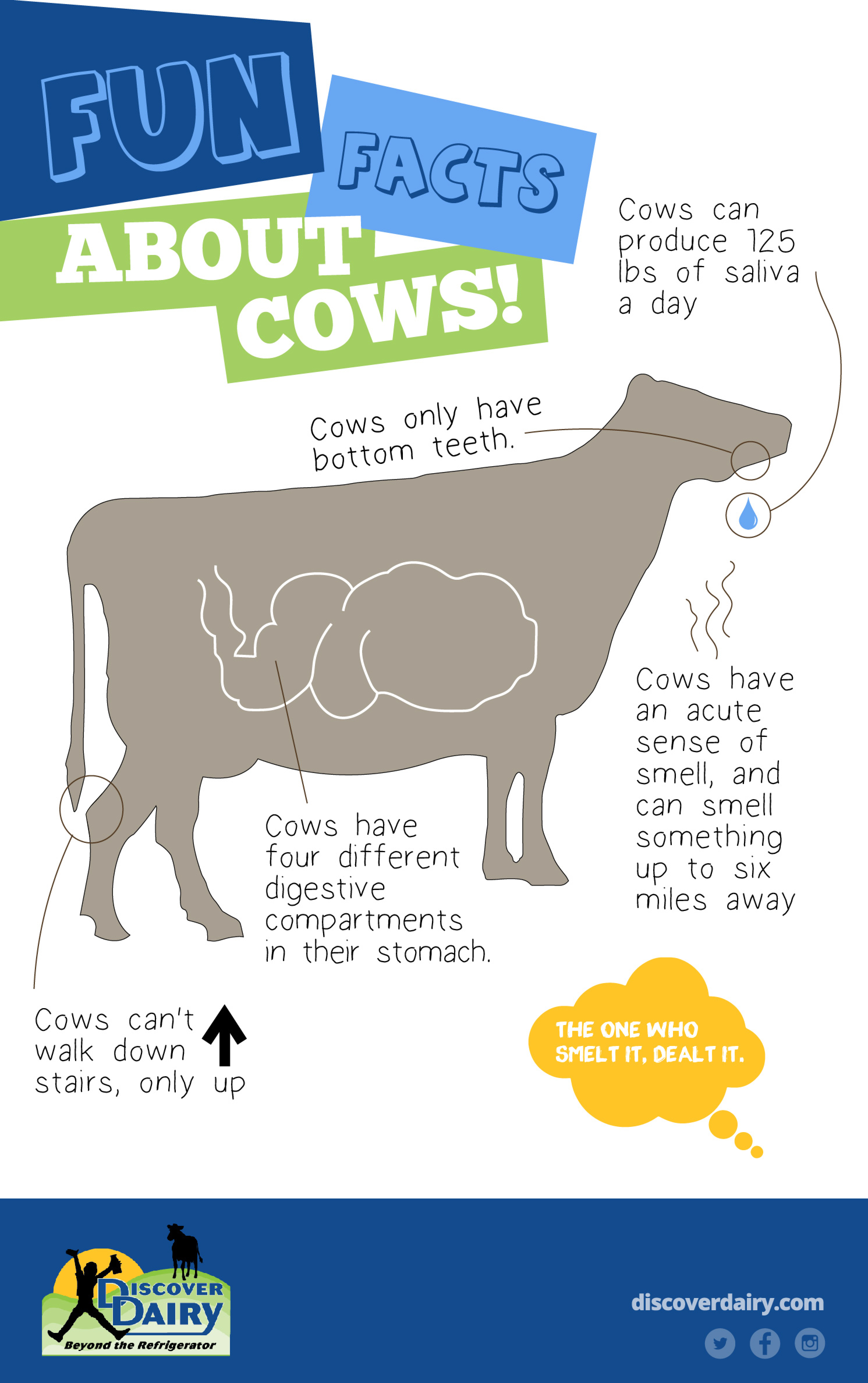 CDE Infographics-02 - Discover Dairy