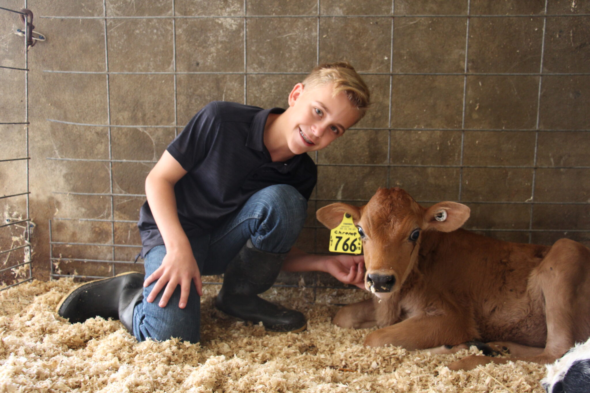 Classroom Enrichment - Discover Dairy