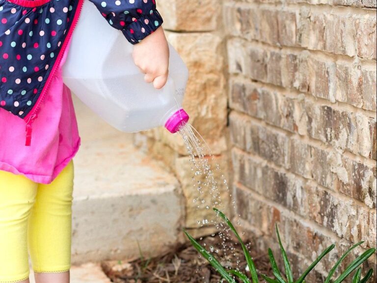 10 Fun Dairy Activities to Do This Summer - Discover Dairy