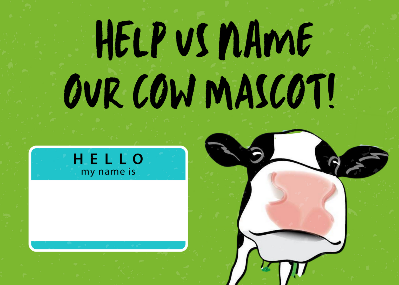 Help Us Name Our Cow Mascot – Vote Now - Discover Dairy