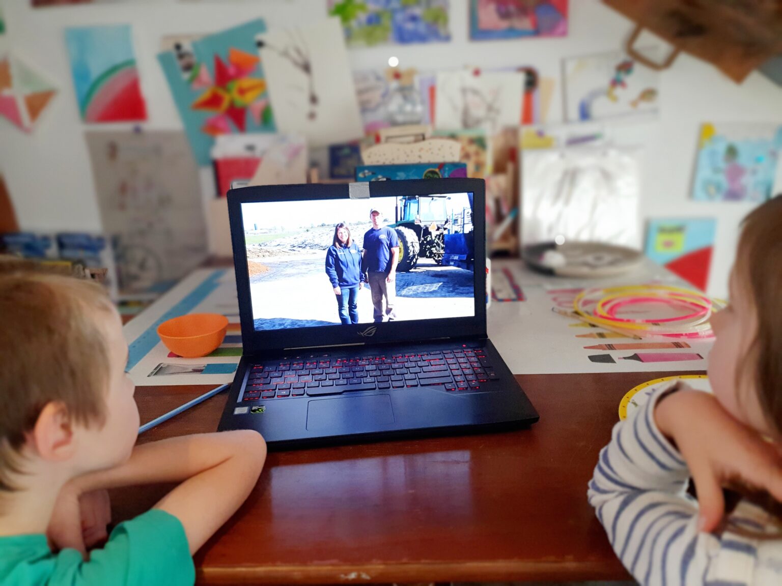 Adopt a Cow - Discover Dairy