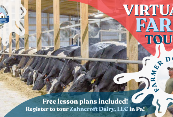 Home - Discover Dairy