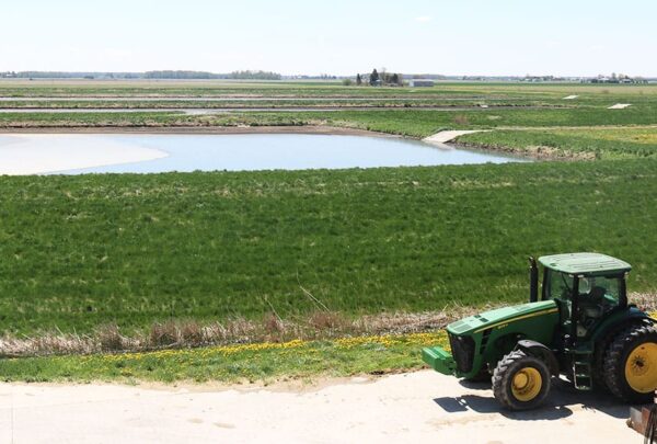 Home - Discover Dairy