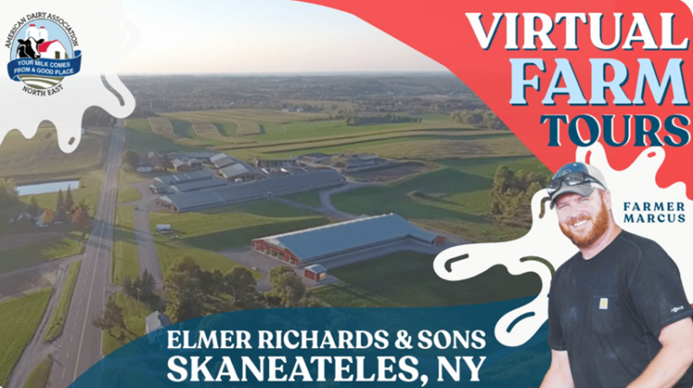 Virtual Farm Tours For Every Age Group This October - Discover Dairy