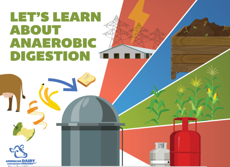 Let's Learn About Anaerobic Digestion - Discover Dairy