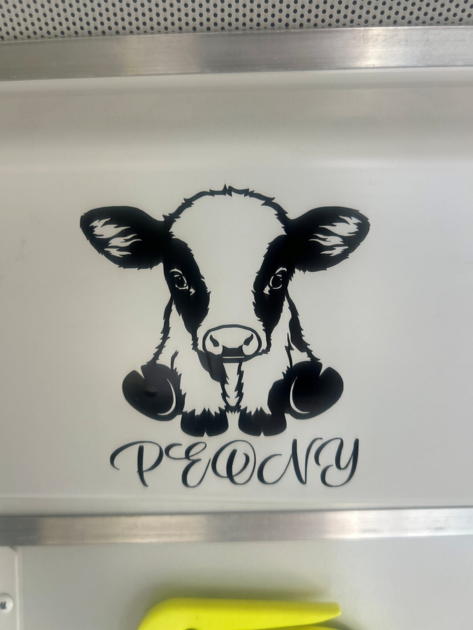 Meet Eva: Bus Driver From Southwest Ohio Who Adopted a Cow for Her Bus ...