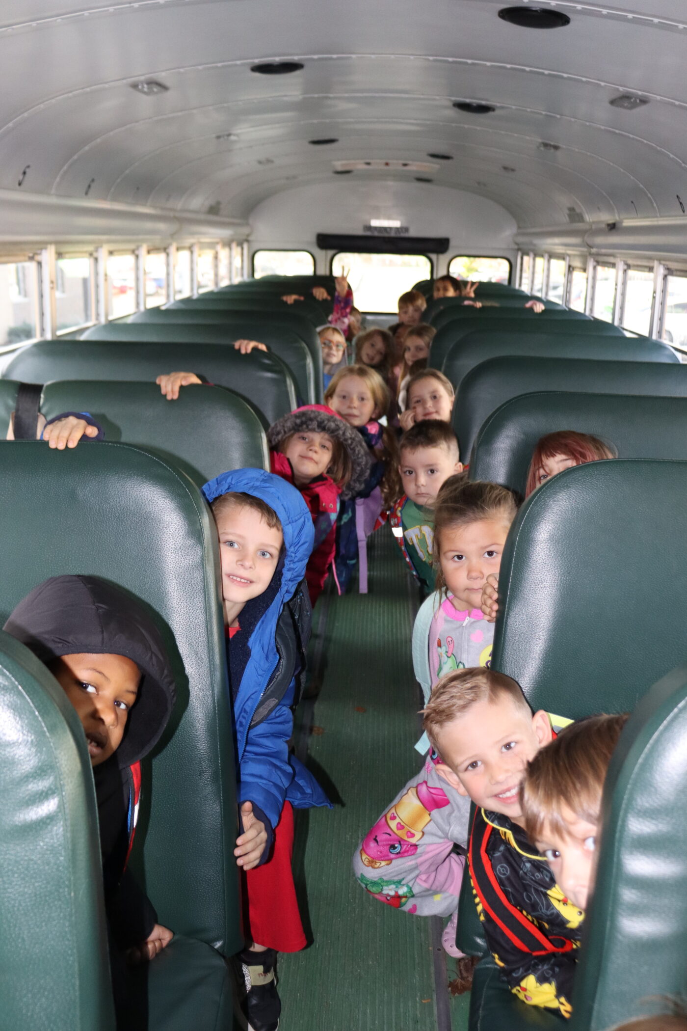 Meet Eva: Bus Driver From Southwest Ohio Who Adopted a Cow for Her Bus ...