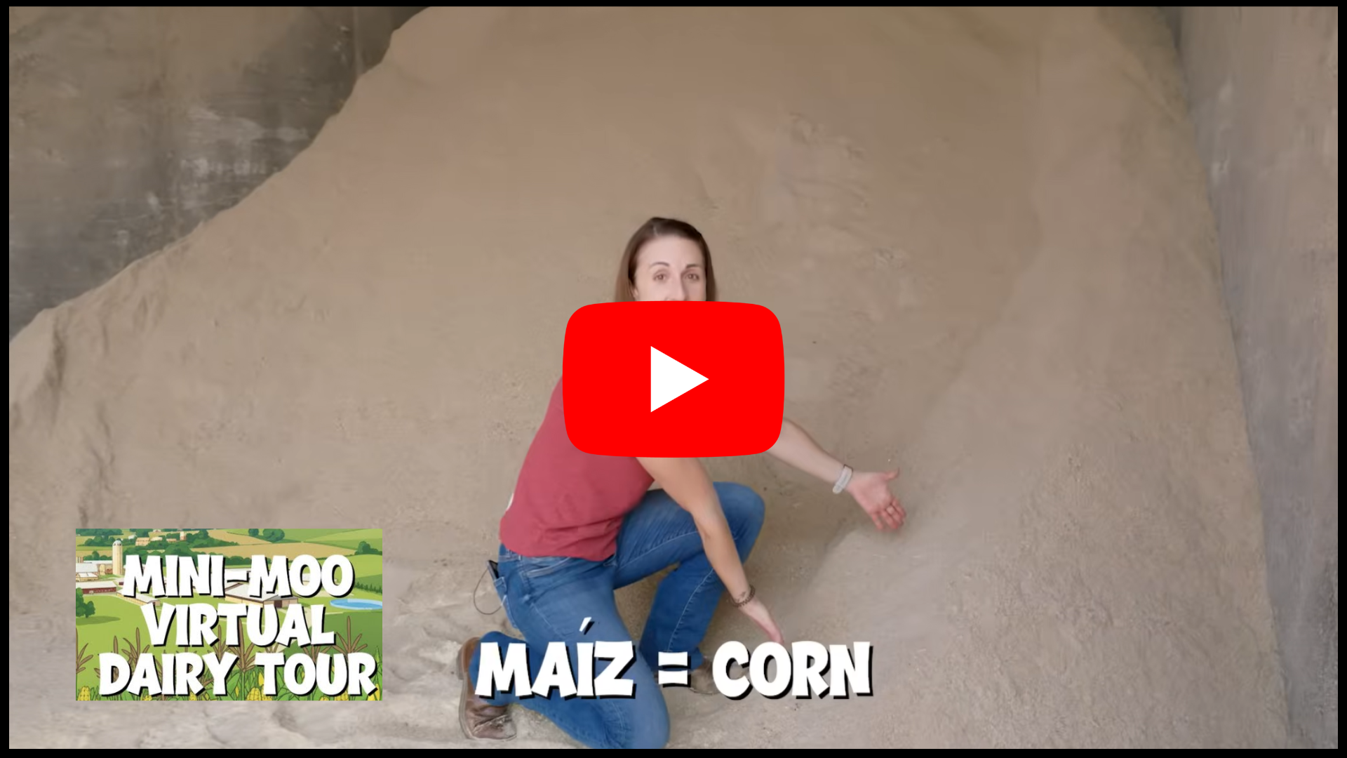 Mini Moo Virtual Dairy Tour: Food Fiesta! Mixing the Perfect Meal ...